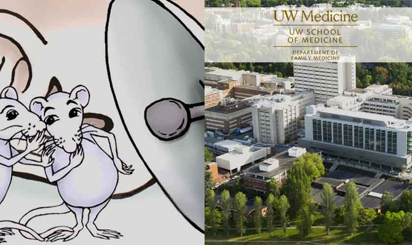 What did the mice just say? DeepSqueak says it all