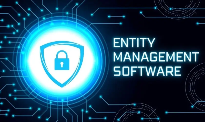 Security Considerations When Choosing Entity Management Software